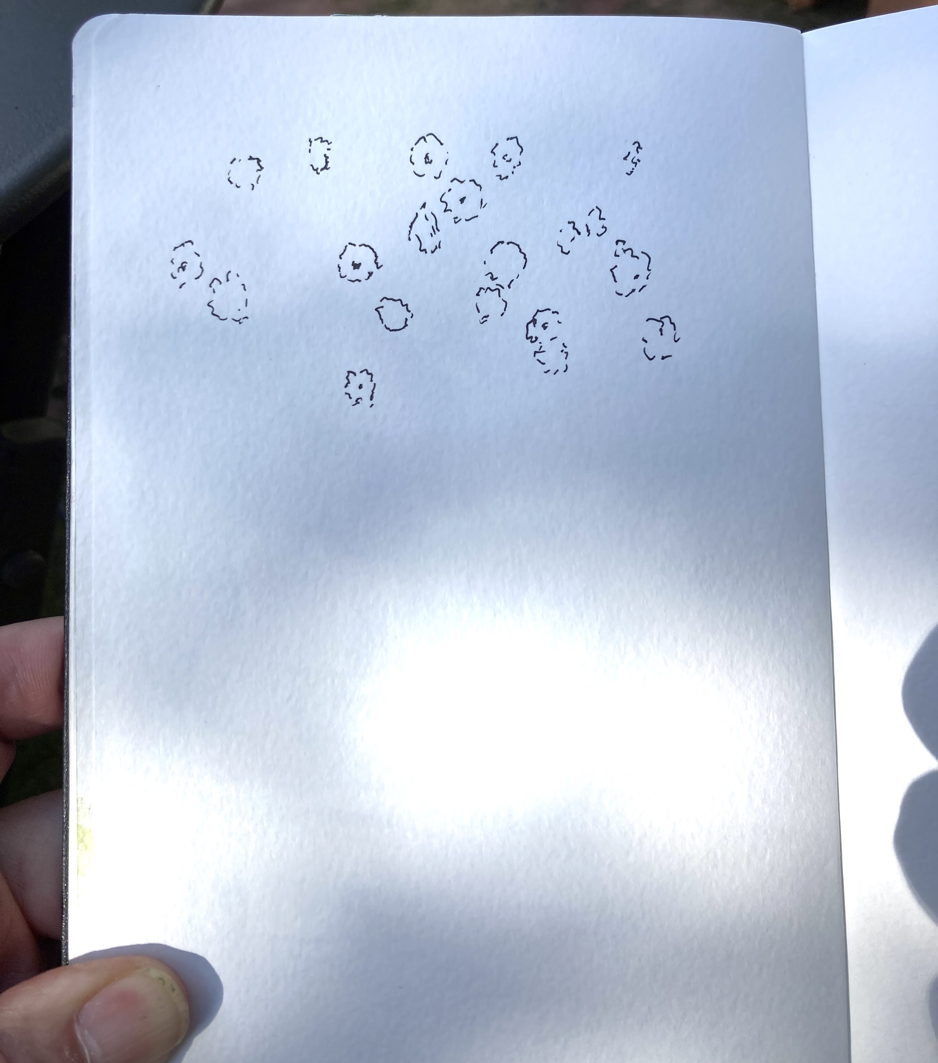 An Easy Way To Sketch Flowers – theTravelsketcher